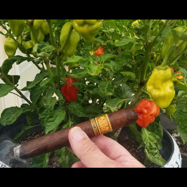 Nica Rustica by Drew Estate - Mike's Cigars Brand Line